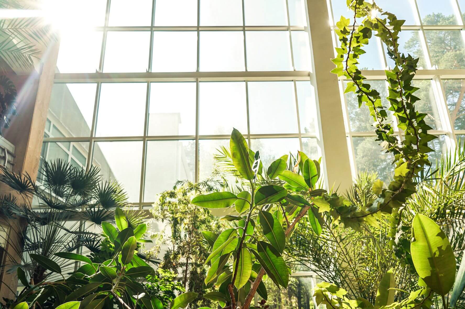 The Benefits Of Biophilic Design In Schools And Nurseries | Nanny McPhee